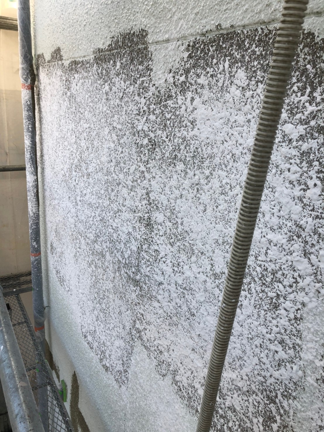 板坂邸_191116_0061 | 株式会社AZUPEN